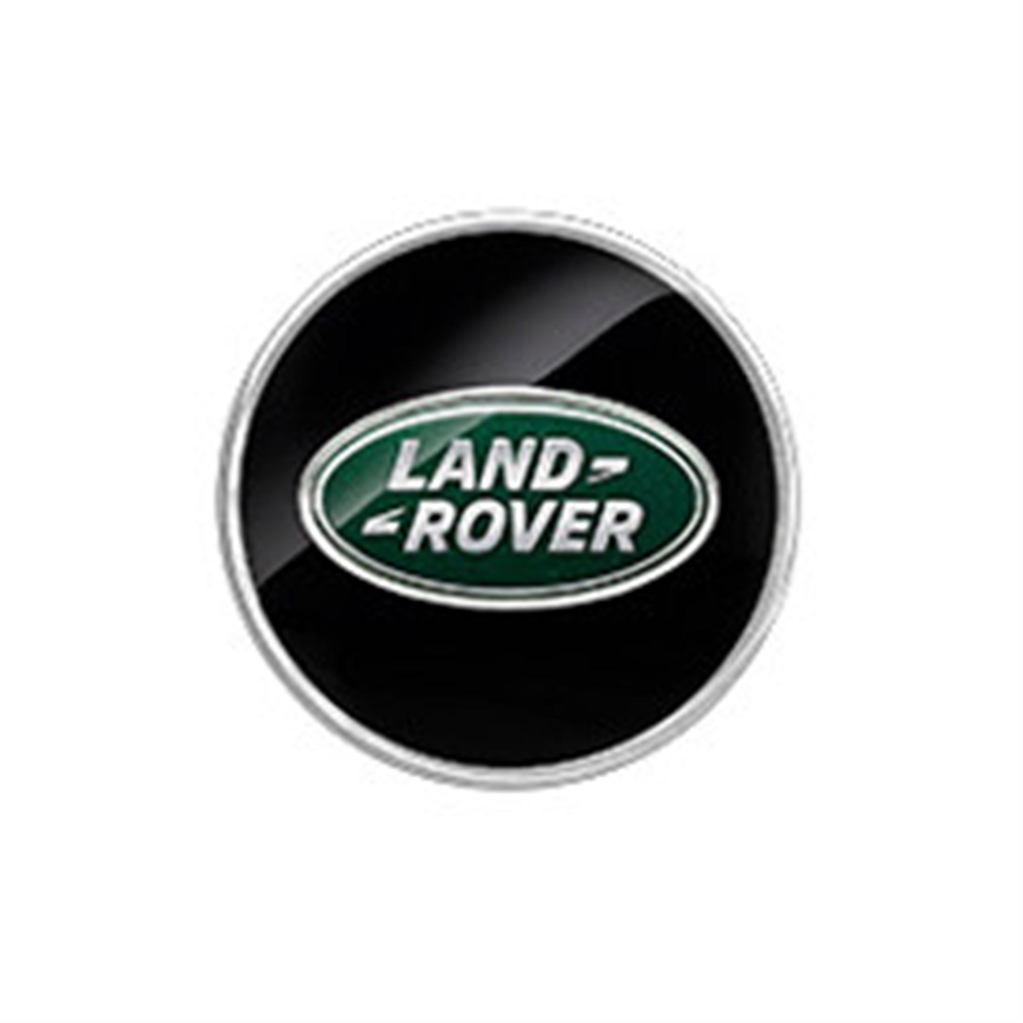 Centre Cap - 19 inch - Style 13, 6 - Satin Silver, Bright Aluminium ...