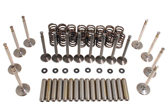 V8 Standard and Performance Cylinder Head Rebuild Kits